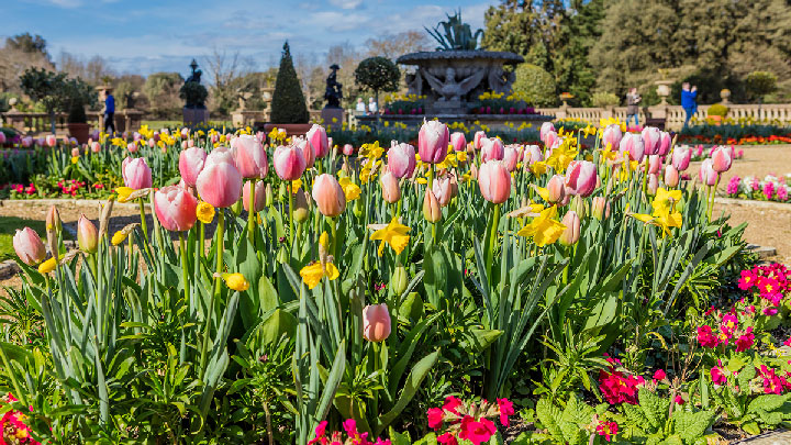 Spring Garden Highlights | English Heritage