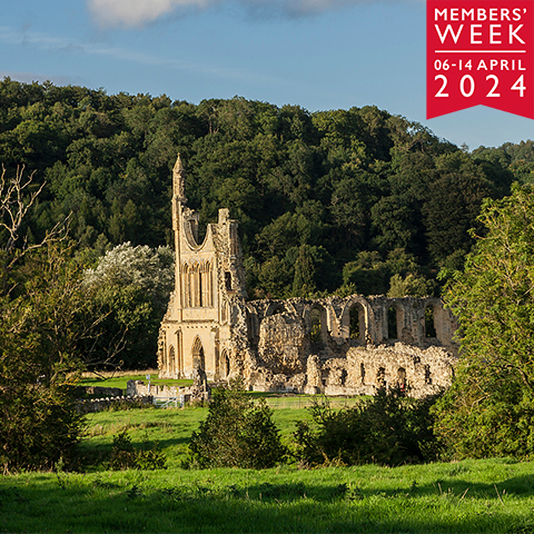 Byland Abbey | English Heritage