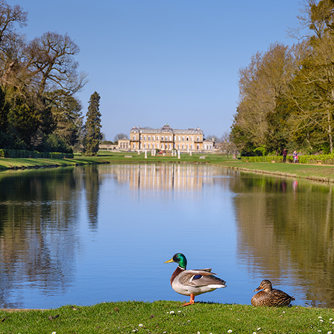 Wrest Park | English Heritage