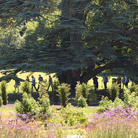 Audley End House and Gardens | English Heritage