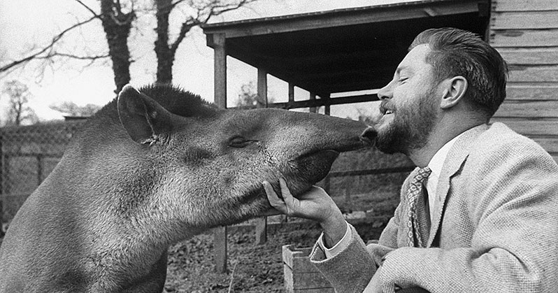 Gerald Durrell | Zoologist and Writer | Blue Plaques | English Heritage ...