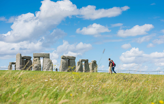 Bird spotting at English Heritage sites | English Heritage