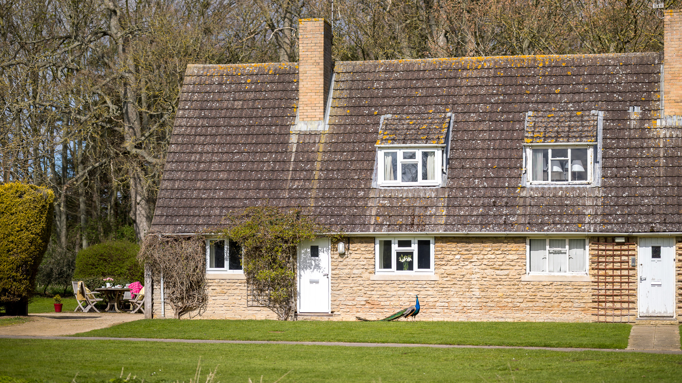Peacock Cottage, Kirby Hall | English Heritage