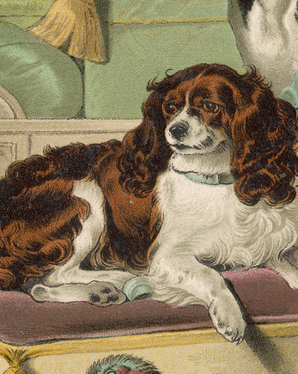Queen Victoria's Pets | English Heritage