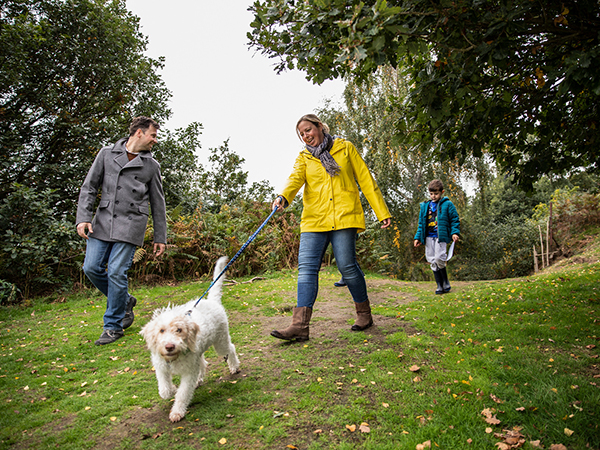 What's On - events and activities | English Heritage