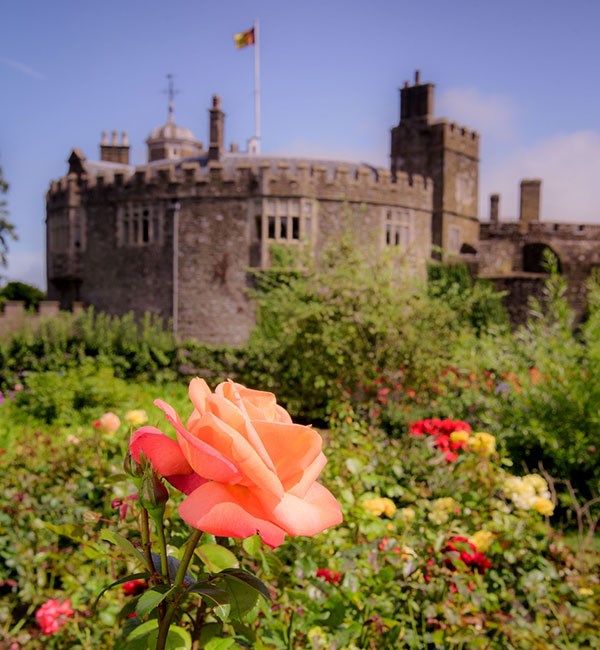 Walmer Castle and Gardens | English Heritage