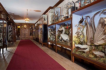 Audley End House and Gardens | English Heritage