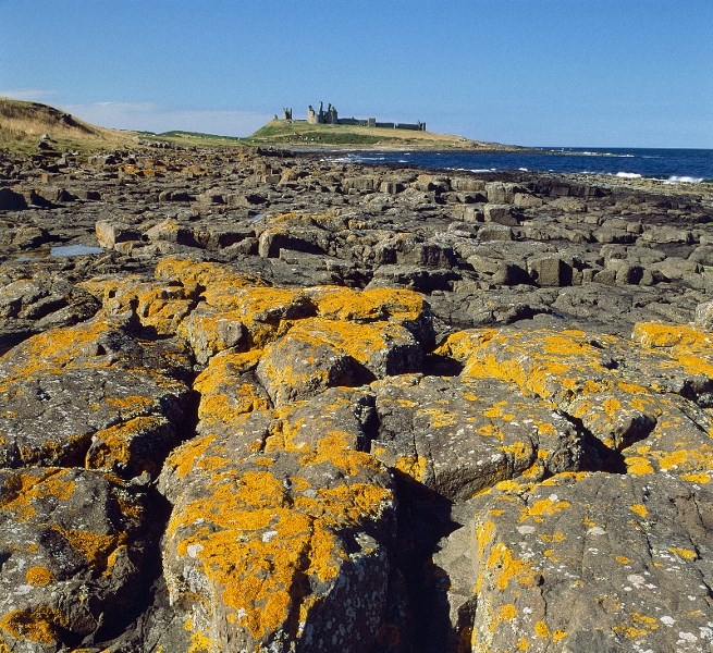 Dunstanburgh Castle | English Heritage
