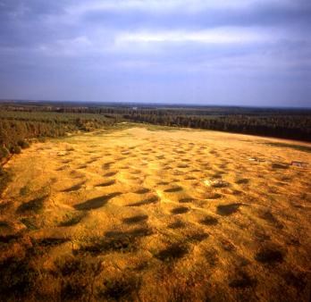 Grime's Graves - Prehistoric Flint Mine | English Heritage