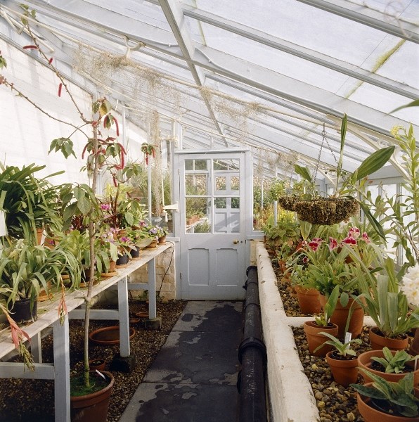 Home of Charles Darwin (Down House) | English Heritage