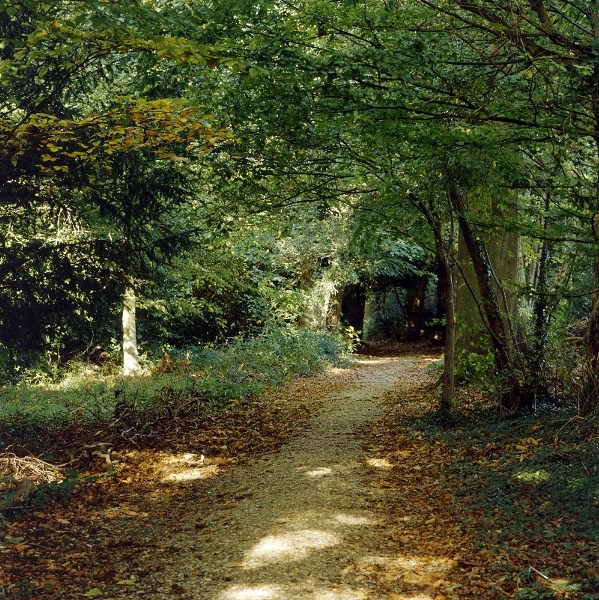 Home of Charles Darwin - Down House | English Heritage