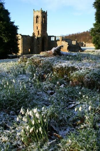 Mount Grace Priory | English Heritage