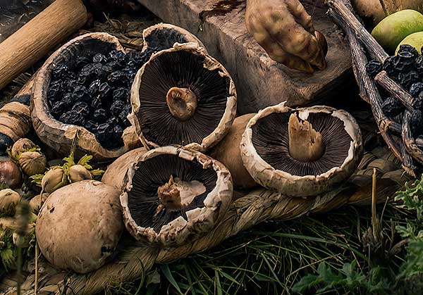 Food and Feasting at Stonehenge | English Heritage