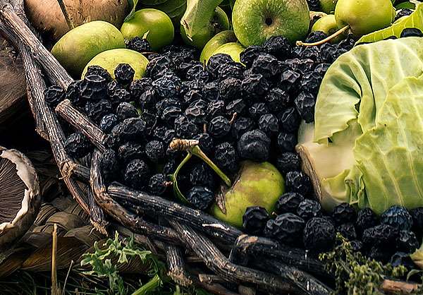 Food and Feasting at Stonehenge | English Heritage