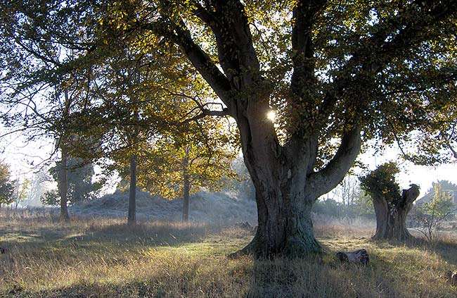 Interactive Maps of the Stonehenge Landscape | English Heritage