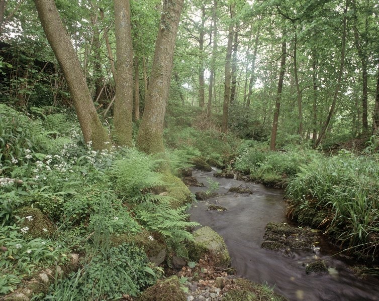Stott Park Bobbin Mill | English Heritage