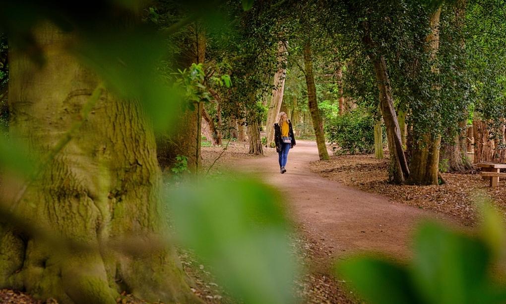 Wellbeing at Walmer Castle | English Heritage