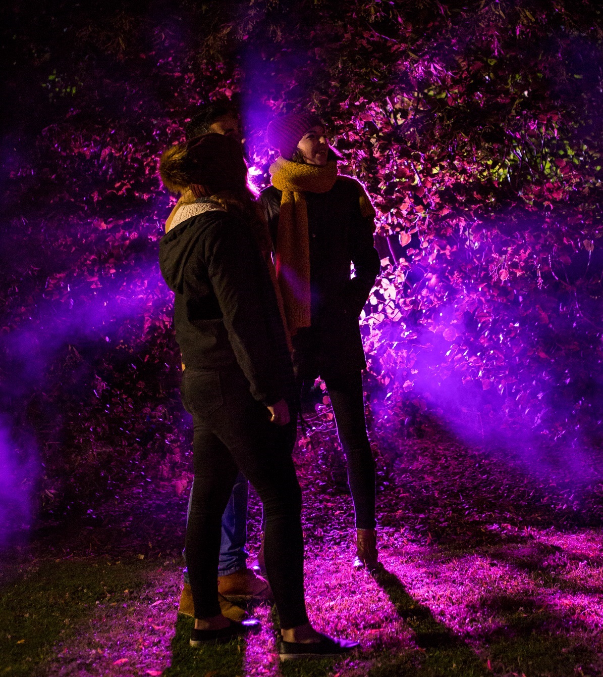 Belsay Hall, Castle and Gardens | English Heritage