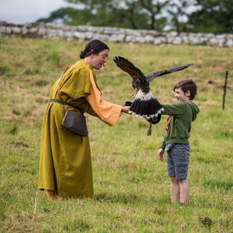 Birdoswald Roman Fort - Hadrian's Wall | English Heritage